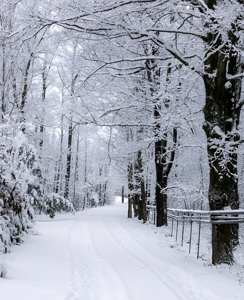 Temple's Sugar Bush | Ottawa Valley Maple Magic